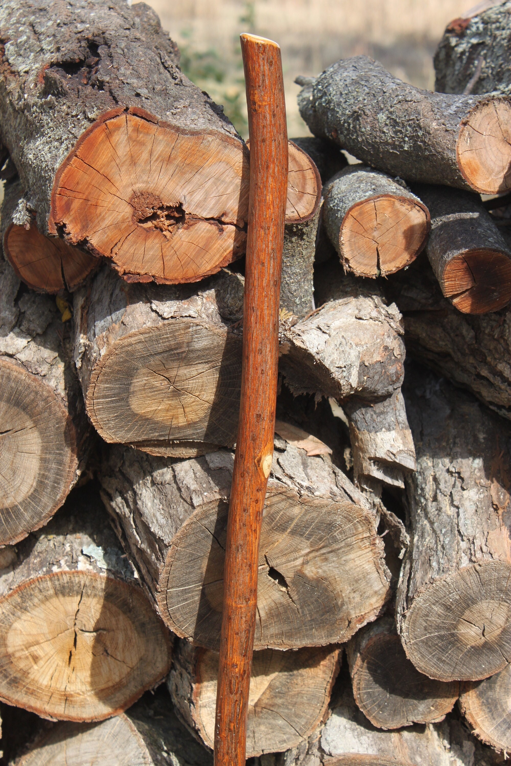 Seasoned Hickory Wood Staff, Walking Stick, Hiking Stick, Trekking Pole ...