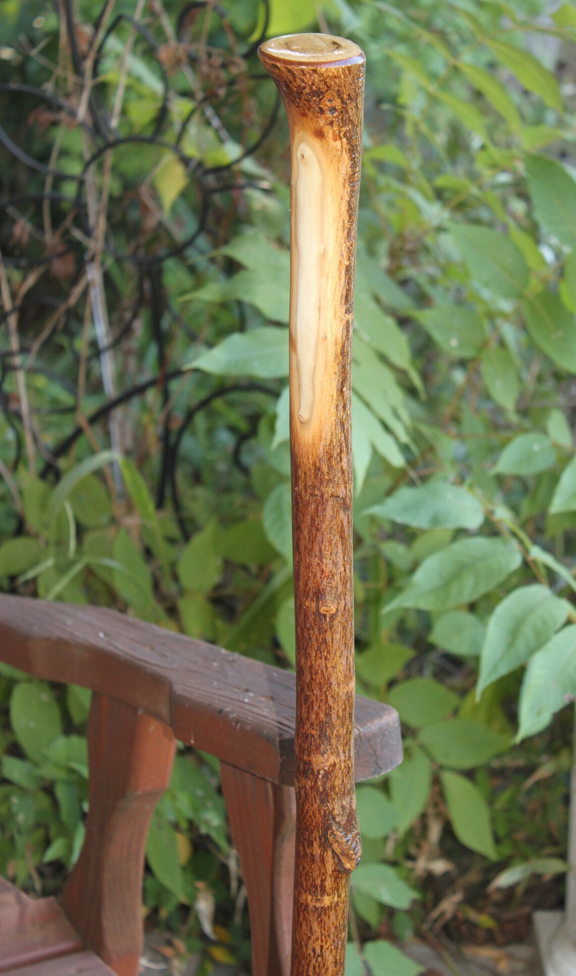 Poplar Wood Walking Stick, Hiking Stick, Staff, Trekking Pole ...