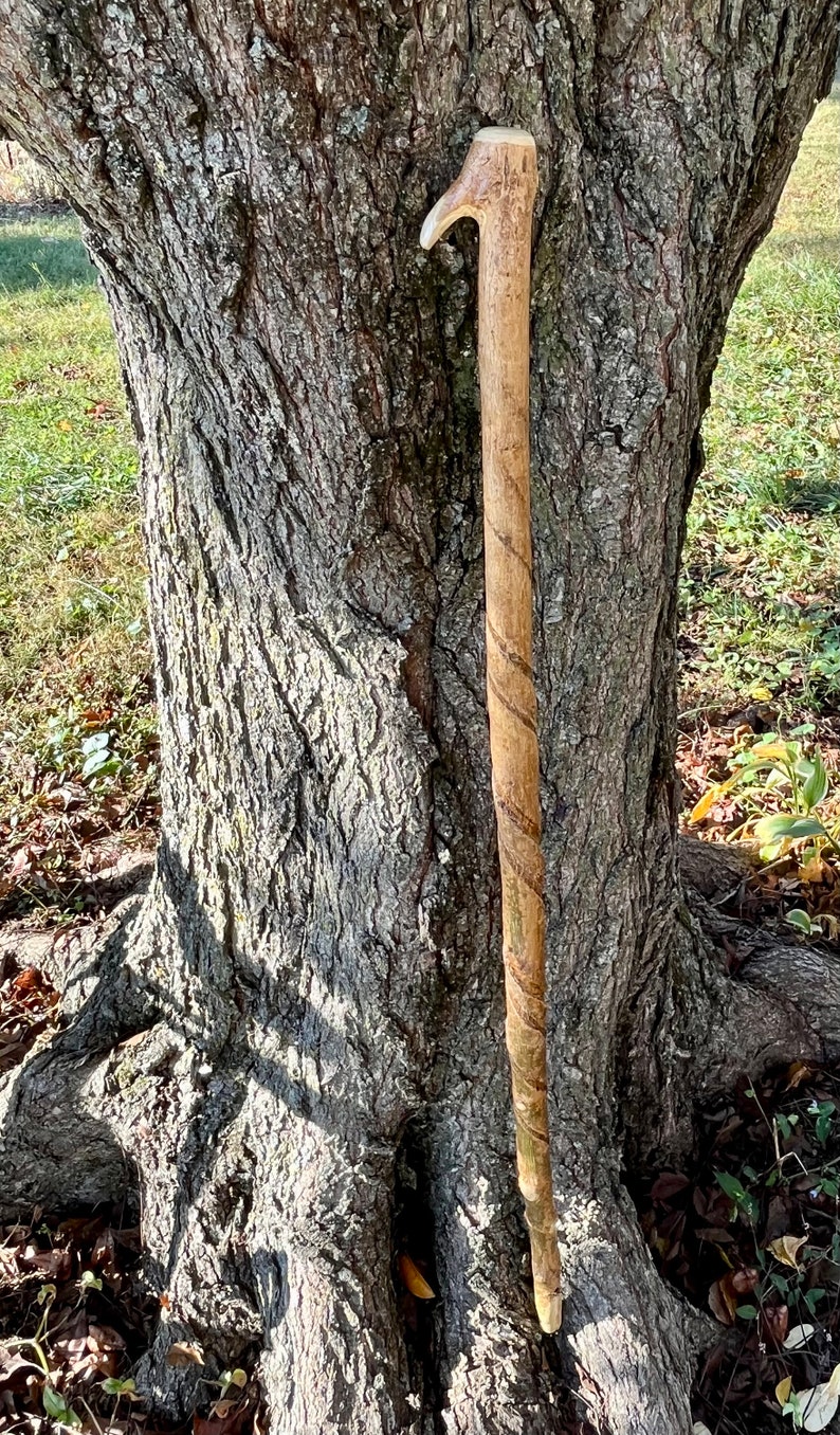 Twisted Ash Wood Staff Walking Stick Walking Cane Hiking - Etsy