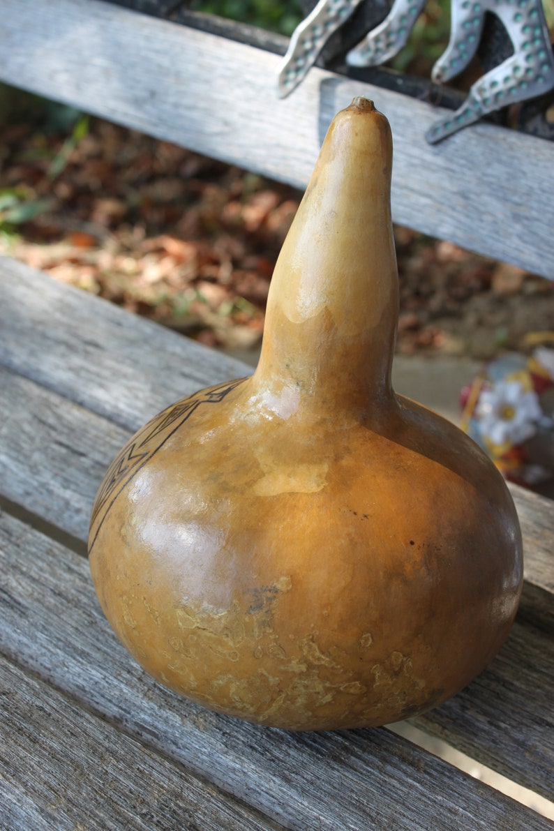 Gourd Art, Decorative Gourd, Gourd With Wood Burned Lizard, Gourd ...