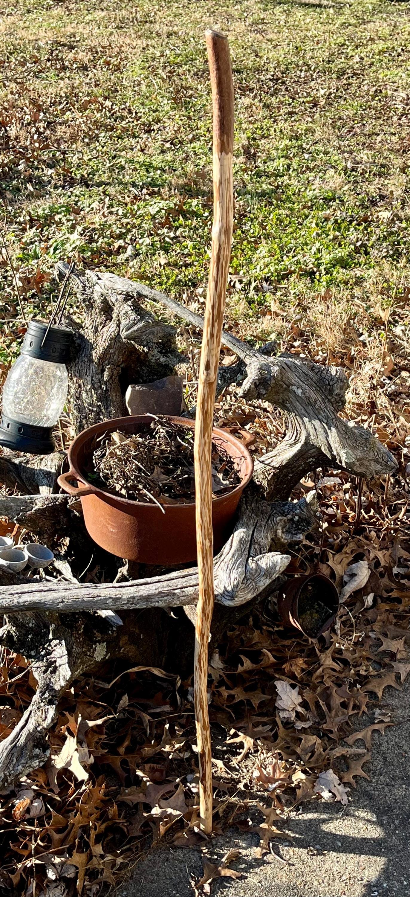 Hazel Nut Wood Cane, Penny Stick, Walking Staff, Hiking Stick, Walking ...