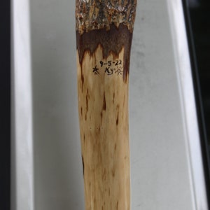 Sweet Gum Wood Snake Walking Staff, Hiking Stick, Walking Stick ...