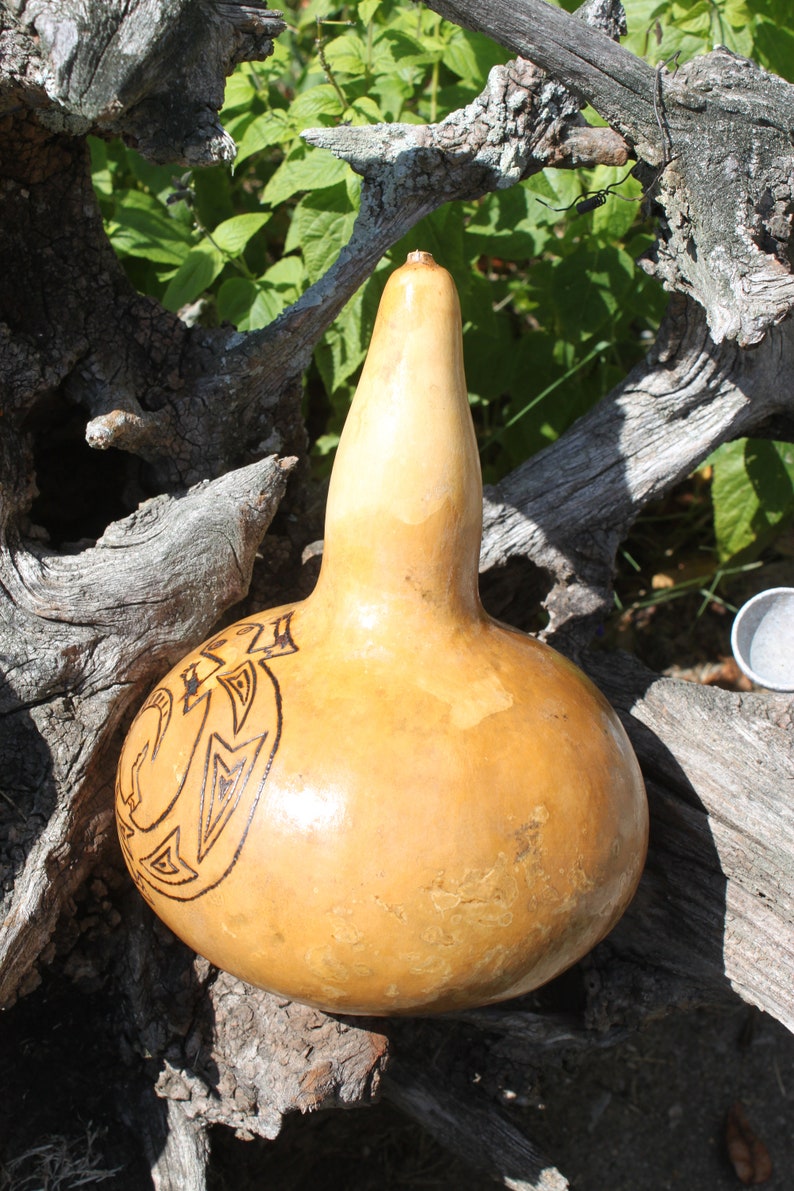 Gourd Art, Decorative Gourd, Gourd With Wood Burned Lizard, Gourd ...