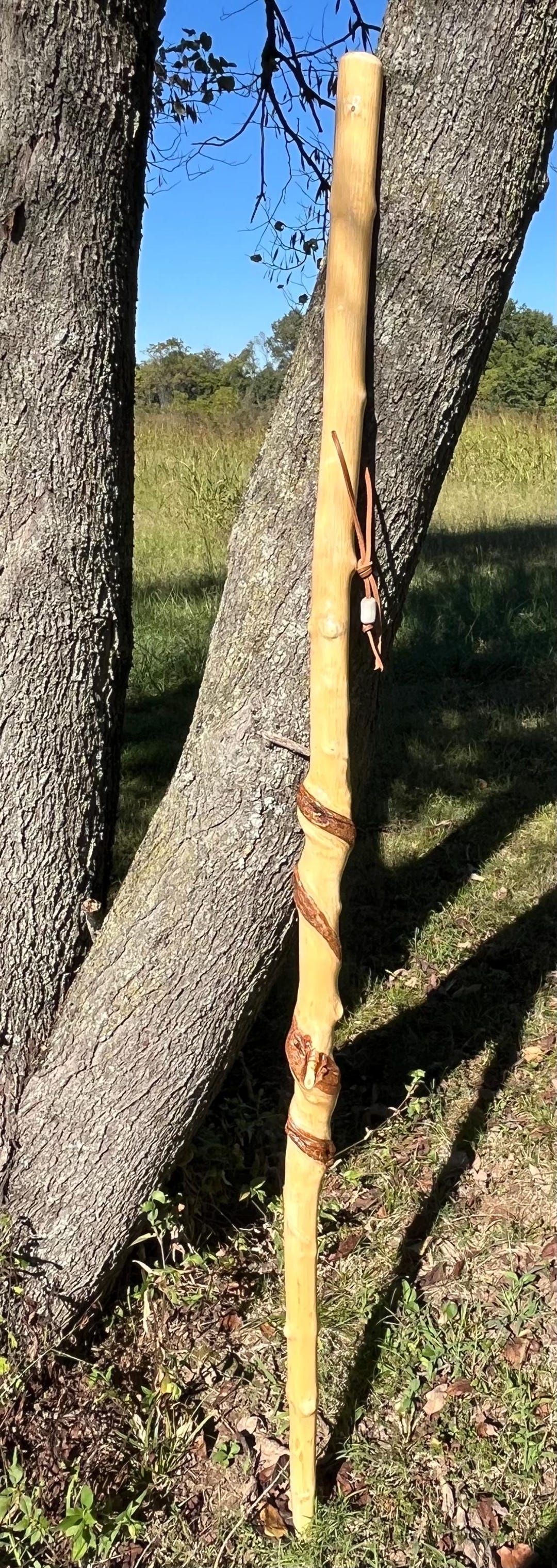 Twisted Box Elder Wood Walking Stick, Mountain Man Stick,hiking Stick ...
