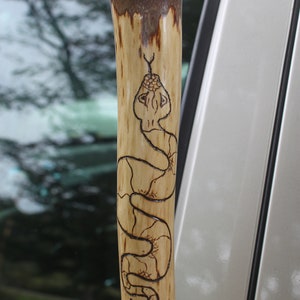 Sweet Gum Wood Snake Walking Staff, Hiking Stick, Walking Stick ...