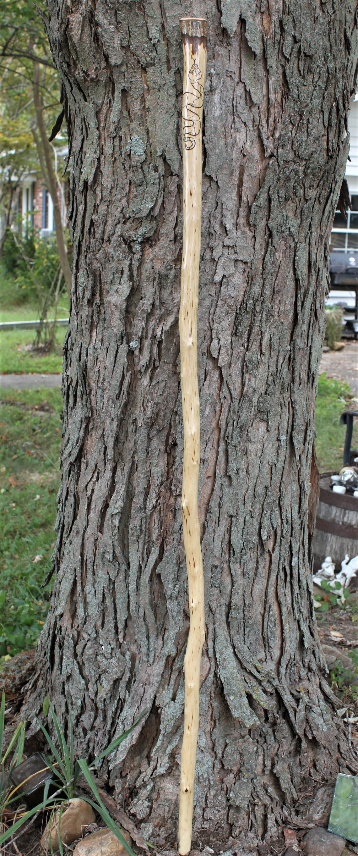 Sweet Gum Wood Snake Walking Staff, Hiking Stick, Walking Stick ...
