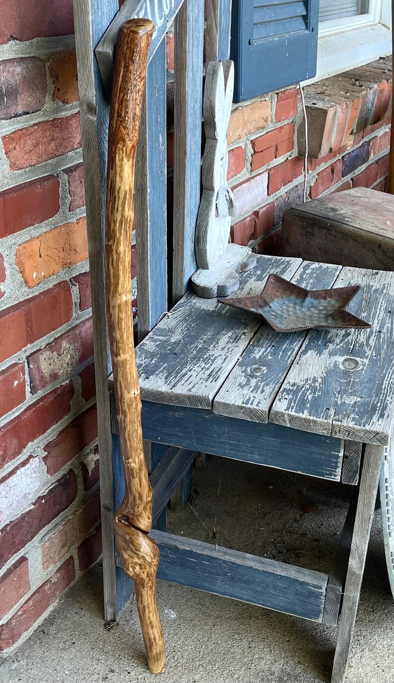 Naturally Twisted Sassafras Wood Cane, Walking Stick, Trekking Pole ...