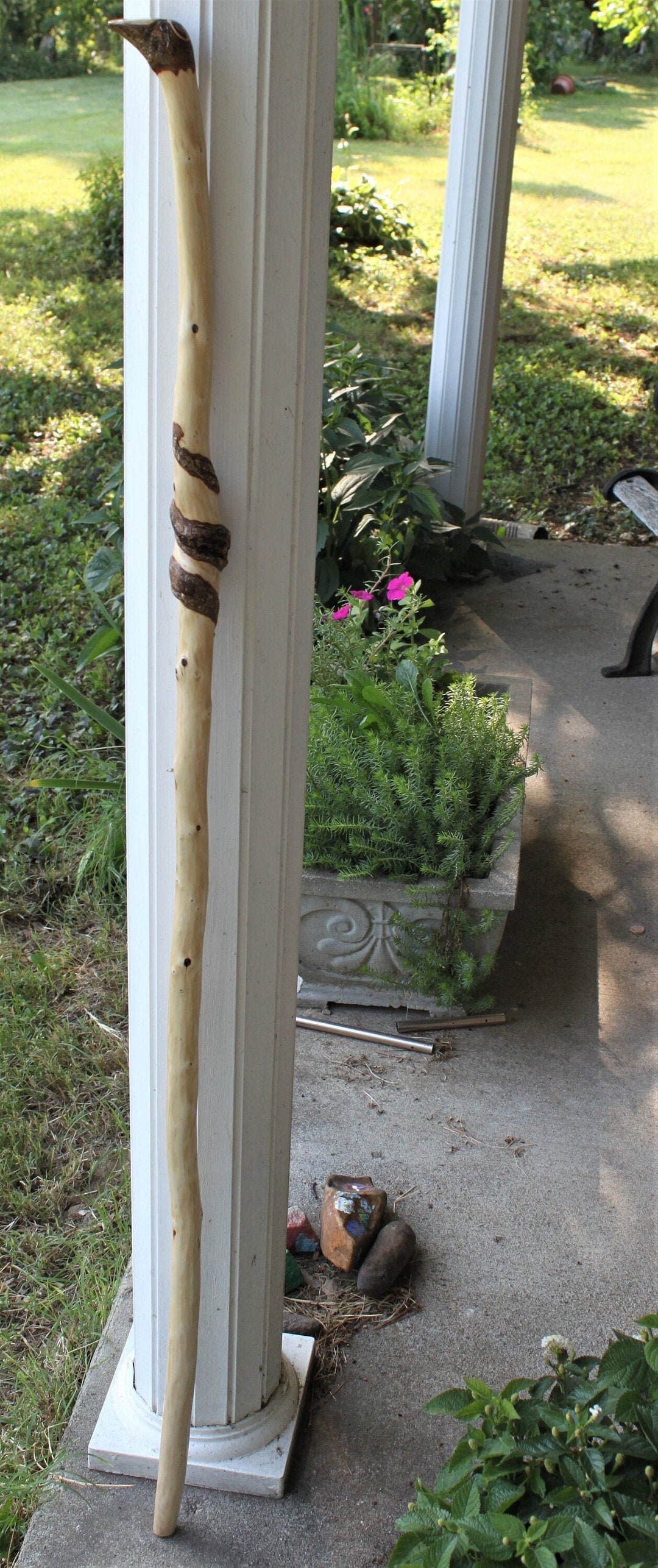 Twisted Sweet Gum Wood Walking Staff, Hiking Stick, Walking Stick ...