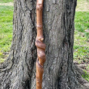 Twisted Maple Wood Walking Stick, Hiking Stick, Trekking Pole ...