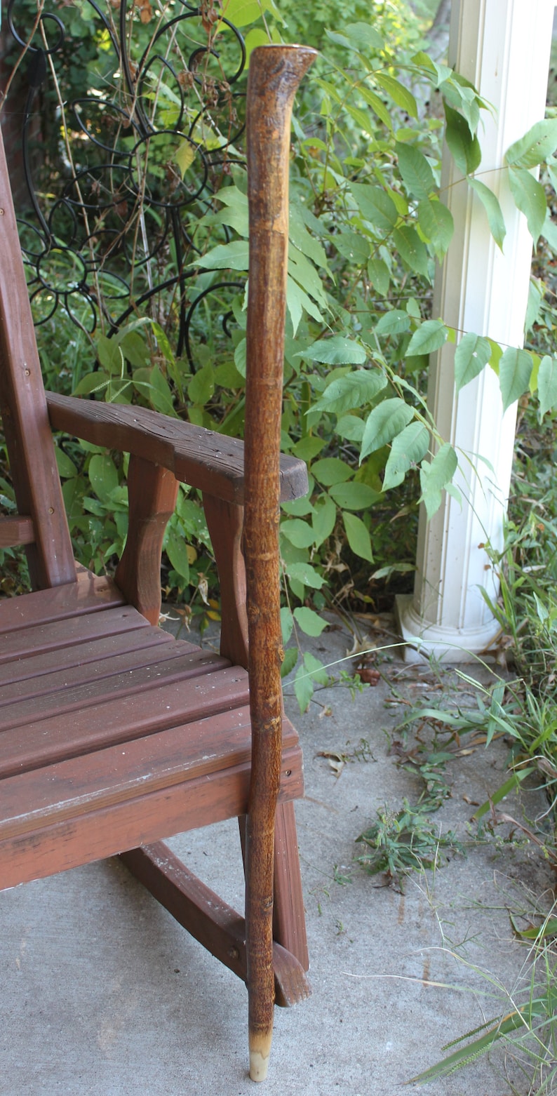 Poplar Wood Walking Stick, Hiking Stick, Staff, Trekking Pole ...
