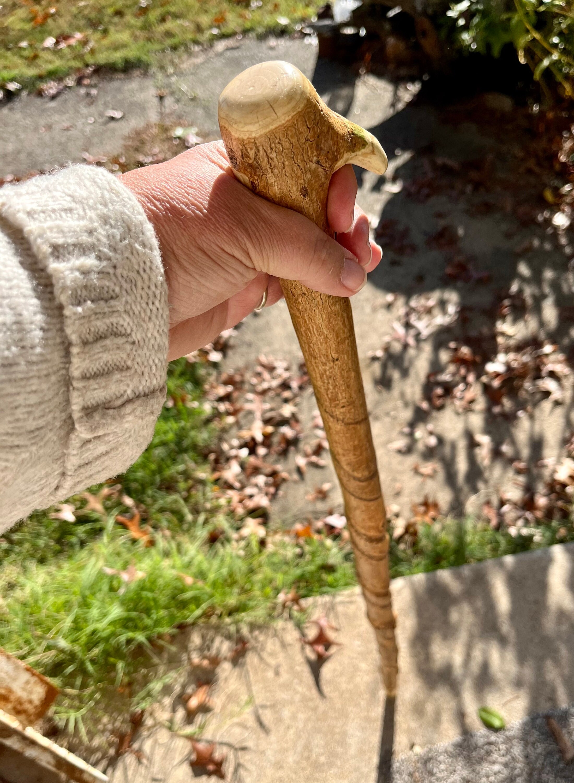Twisted Ash Wood Staff, Walking Stick, Walking Cane, Hiking Stick ...