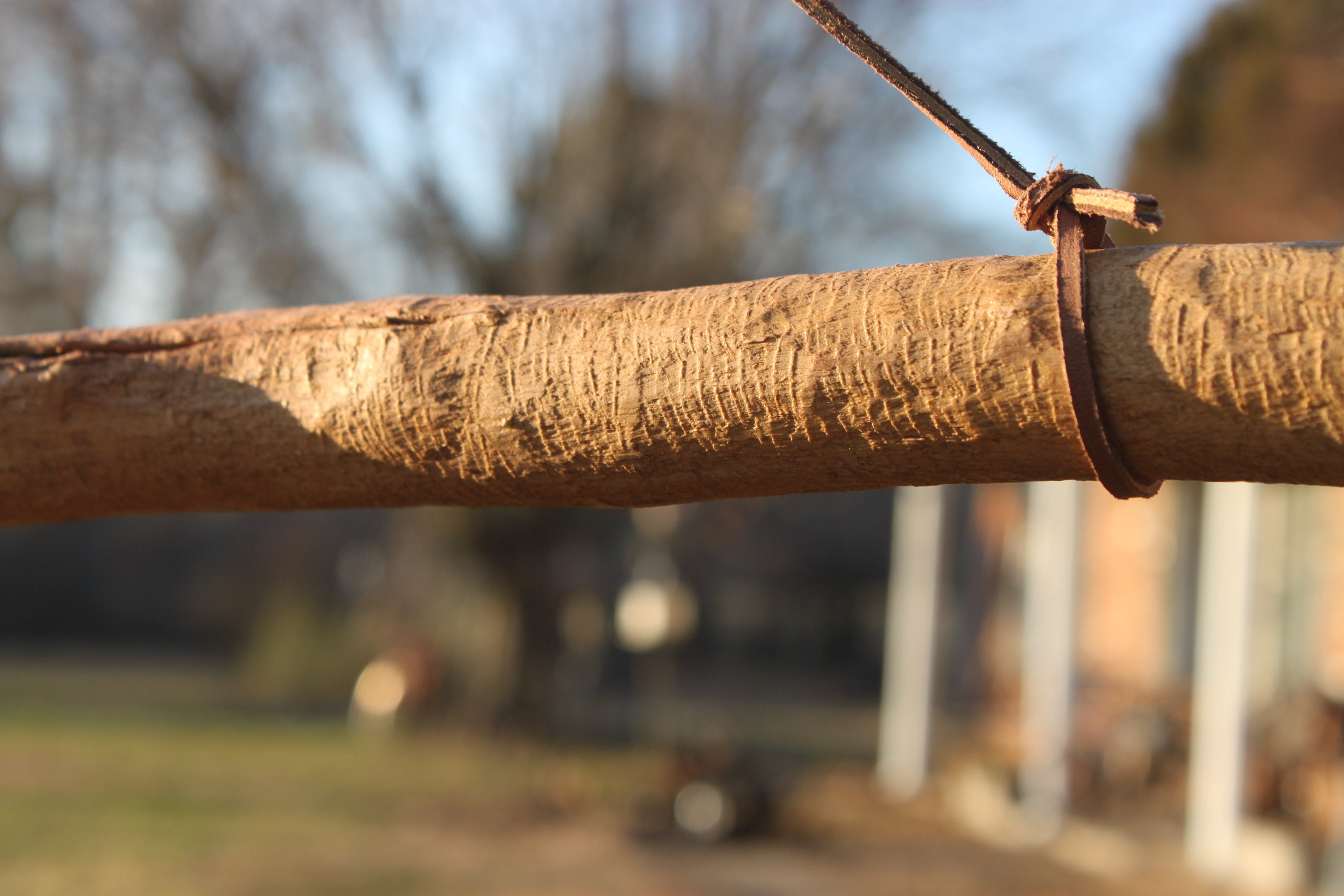 Natural Hackberry Wood Beaver Stick, Macrame Hanger, Scarf Holder ...
