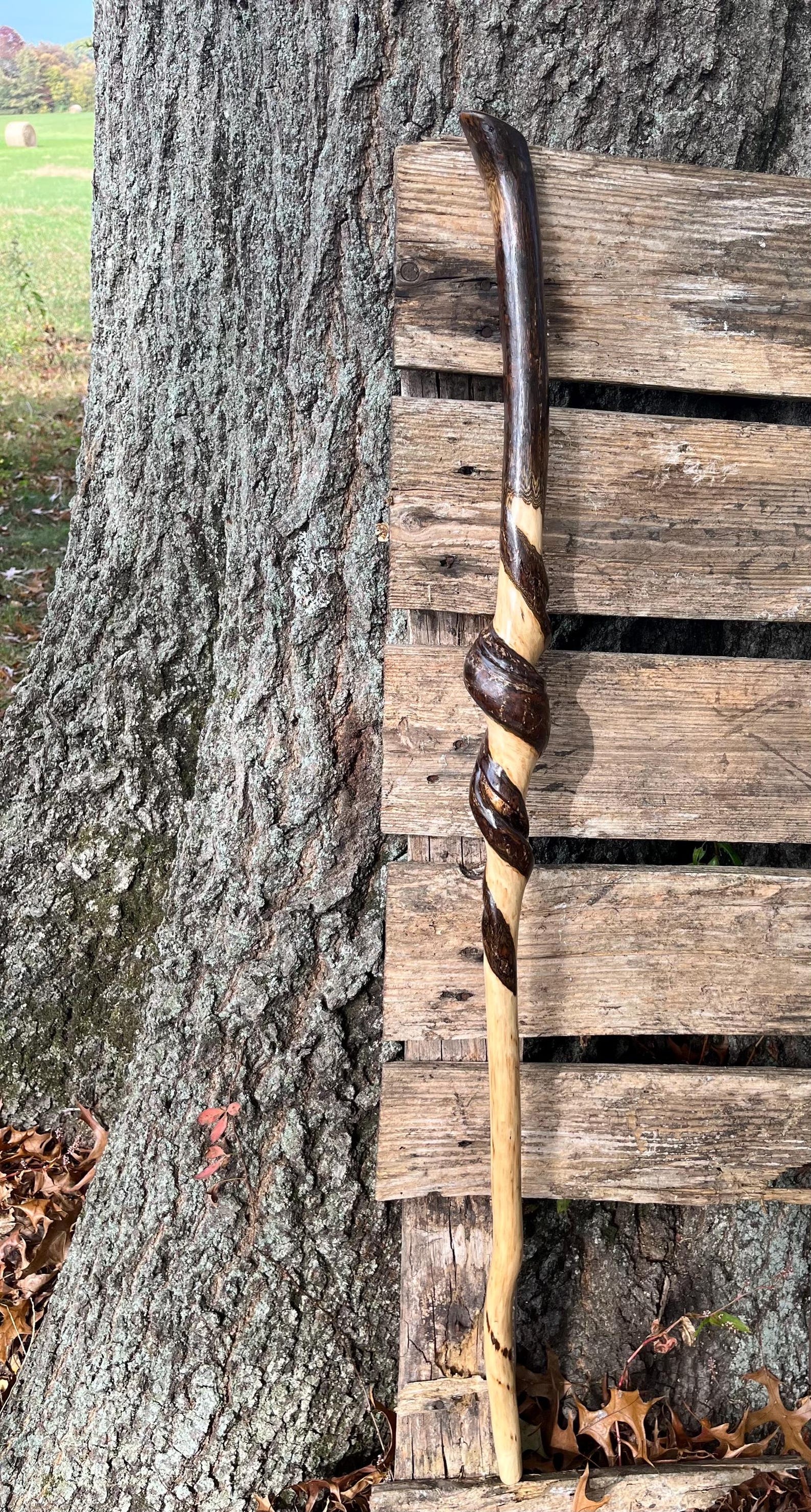 Twisted Hard Wood Cane, Walking Stick, Gentleman's Cane, Trekking Pole ...