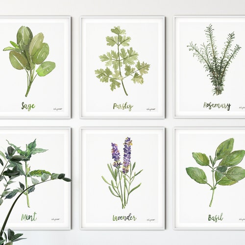 Herbs Set of 4 Watercolor Painting Kitchen Prints Sage Thyme | Etsy