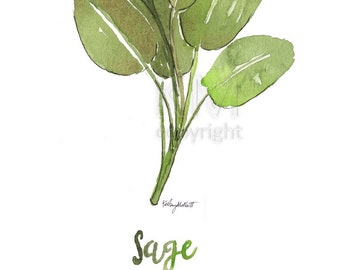 Watercolor Painting Cilantro Herb Print Watercolor Wall Art | Etsy