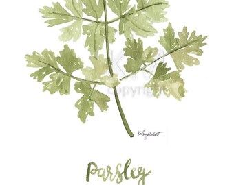 Watercolor Painting Cilantro Herb Print Watercolor Wall Art | Etsy