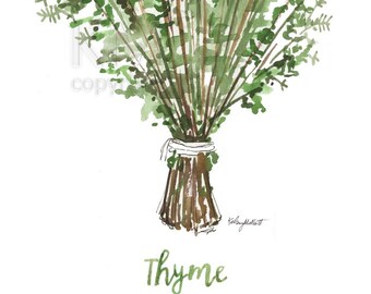 Watercolor Painting Cilantro Herb Print Watercolor Wall Art | Etsy