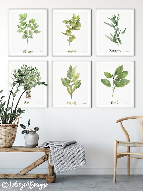 Herbs Wall Decal