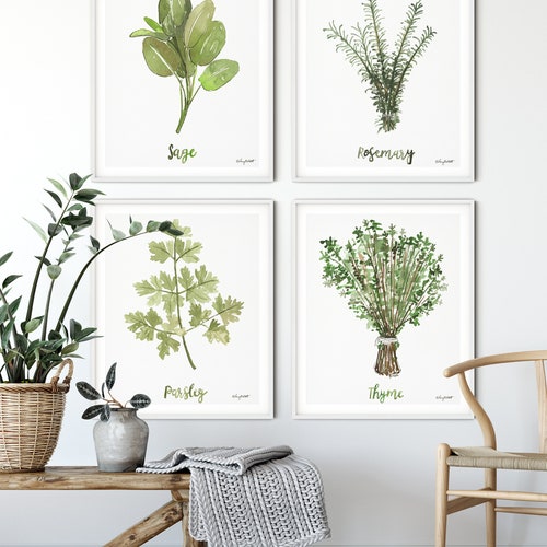 Herbs Set of 6 Art Prints Watercolor Painting Sage Rosemary - Etsy
