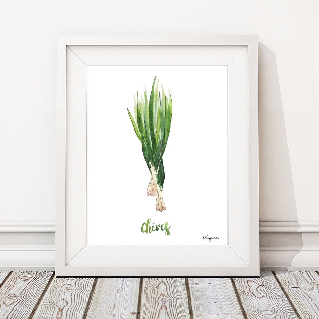 Chives Herb Plant Print, Kitchen Print, Spice Wall Art, Onion Painting ...