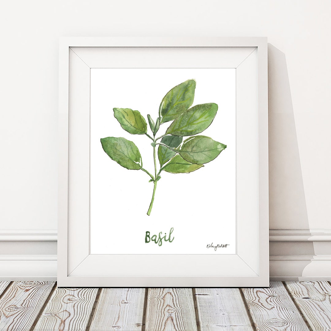 Watercolor Painting Basil Herb Print, Watercolor Wall Art Housewarming ...