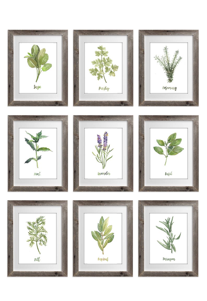 Set Of 9 Herbs And Spices Kitchen Wall Art Herb Kitchen Etsy