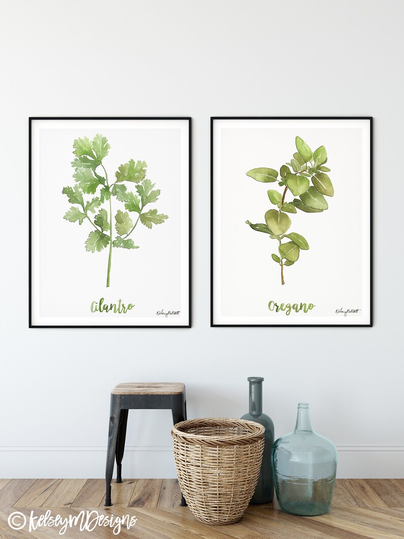 Kitchen Herbs Set Cilantro Oregano Watercolor Painting Herb - Etsy