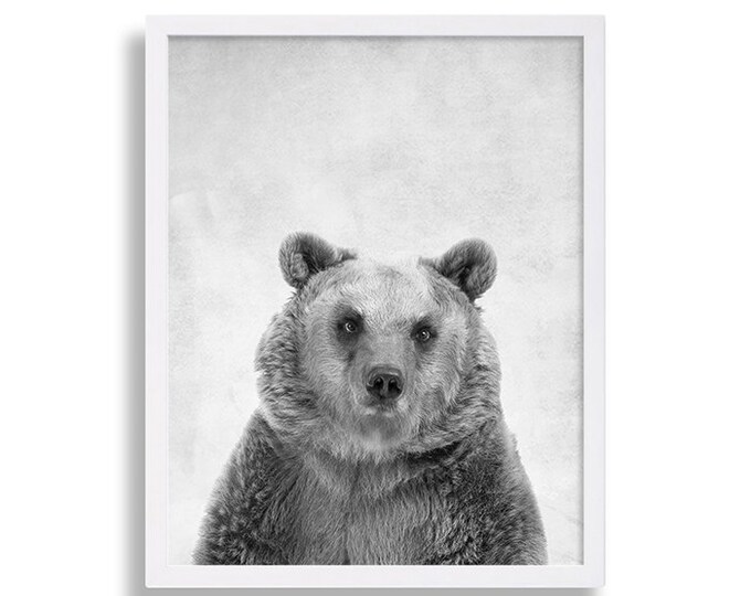 Animal Art Bear Print Big Bear Grizzly Bear Animal Poster - Etsy
