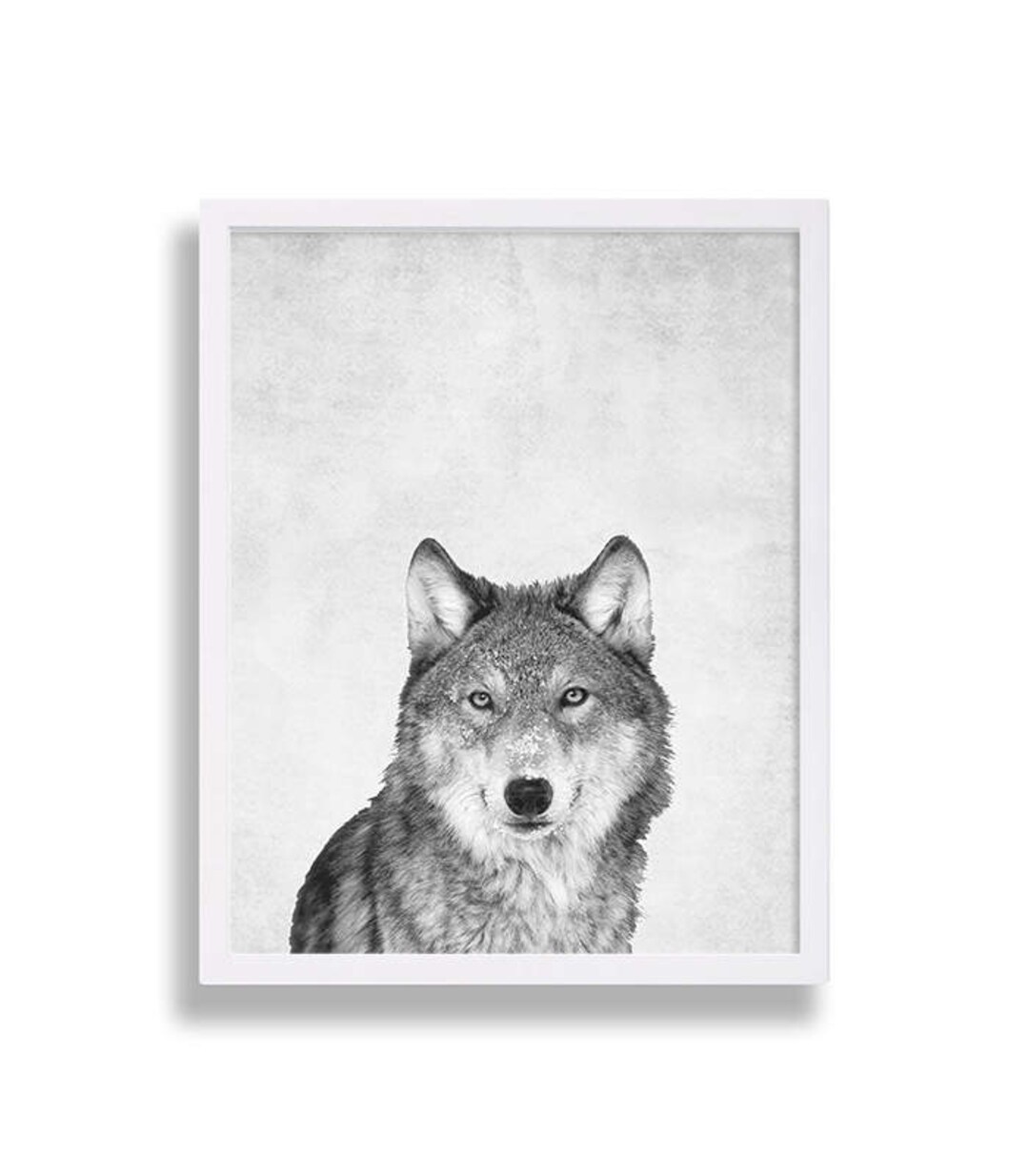 Wolf Print Animal Portraits Large Art Kids Room Art Prints - Etsy