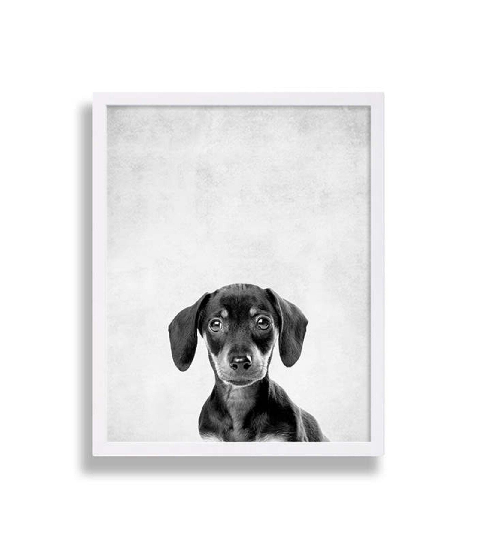 Puppy Dachshund Print Baby Animal Nursery Prints Puppy Prints Dog Art ...