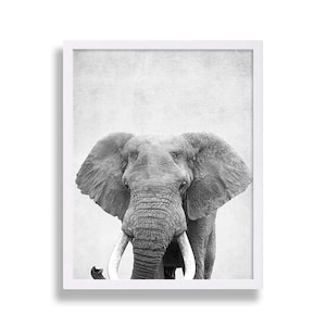 Elephant Prints Front and Back Elephant Nursery Art Cute Nursery Decor ...