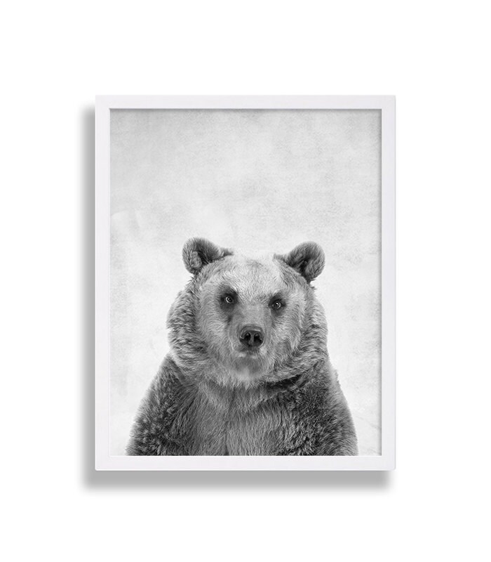 Lions Tigers and Bears Prints Animal Prints Boy Nursery Room Decor Grey ...