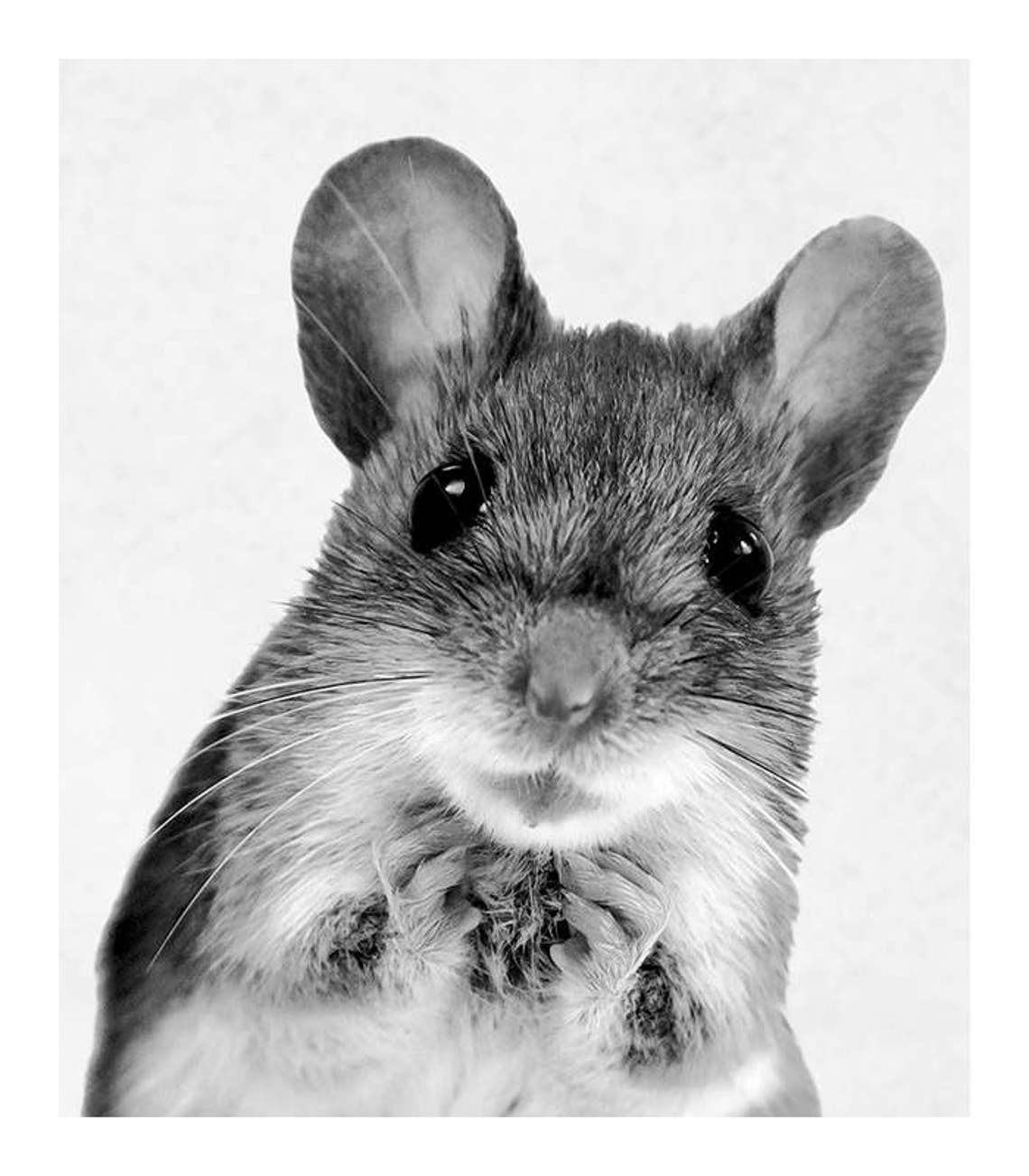 Baby Maus Print Waldtiere Kinderzimmer Drucke Süßes | Etsy