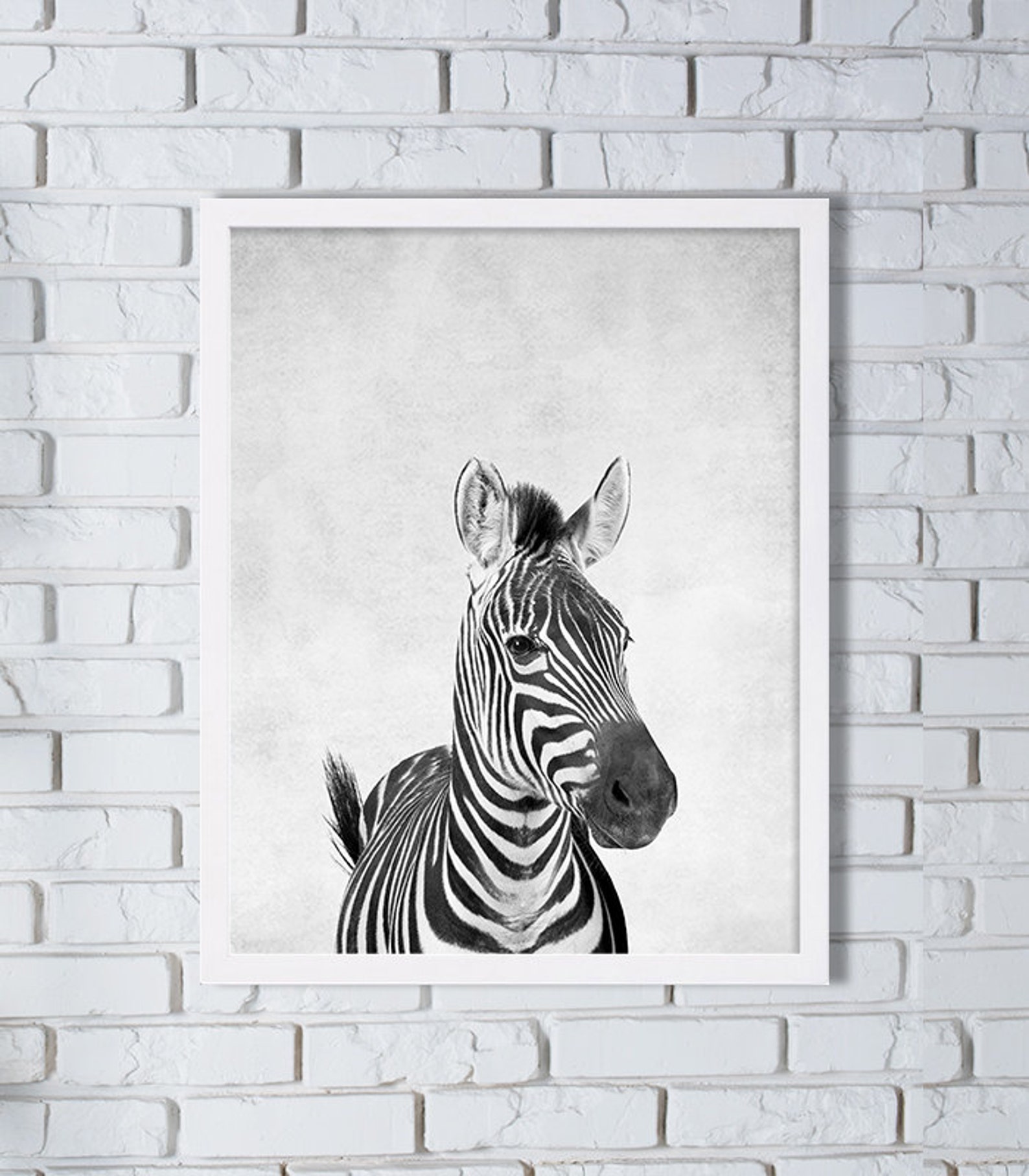 Zebra Animal Art Print Black and White Decor Cool Art Large | Etsy