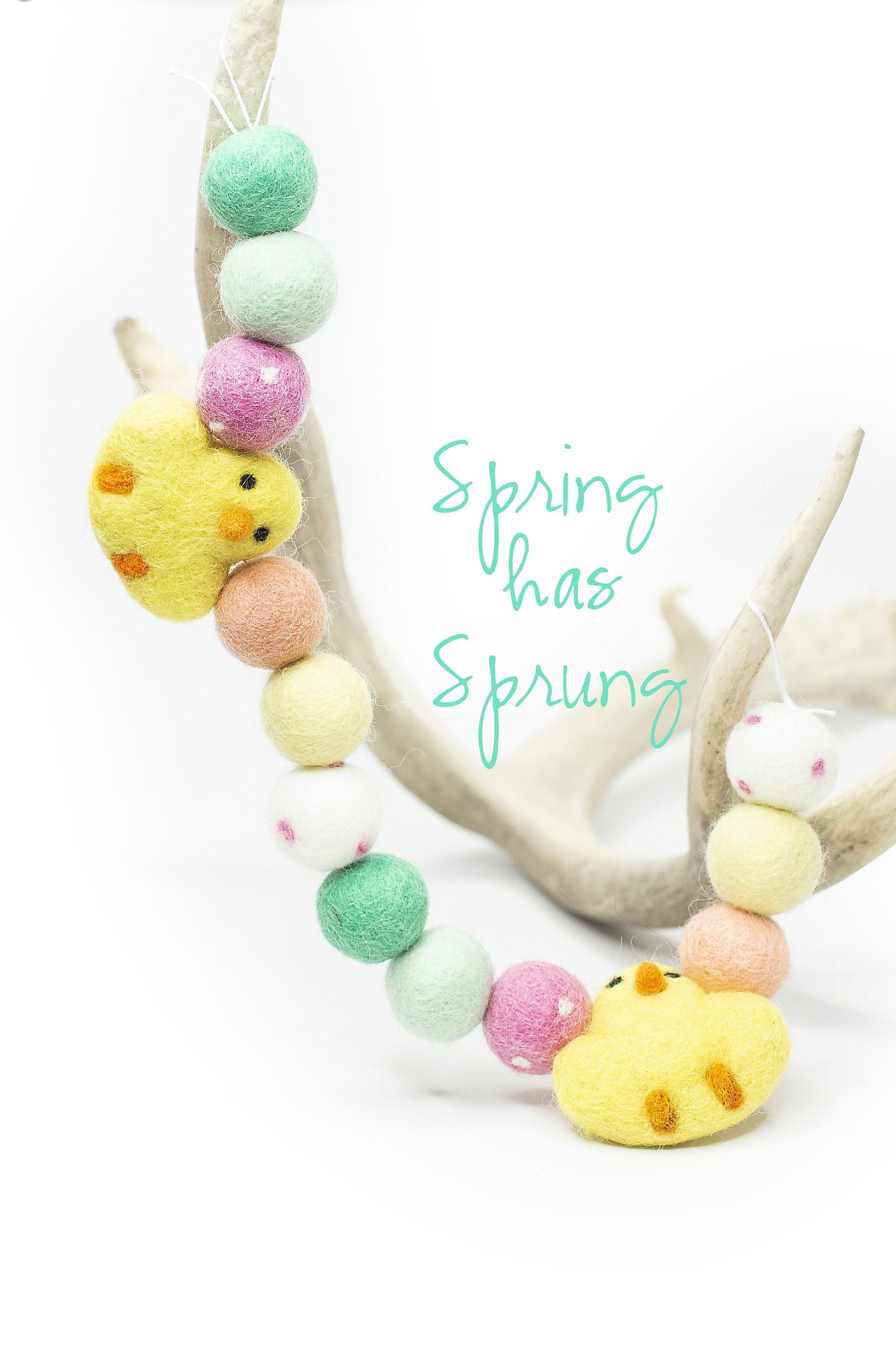 Spring Has Sprung Banner