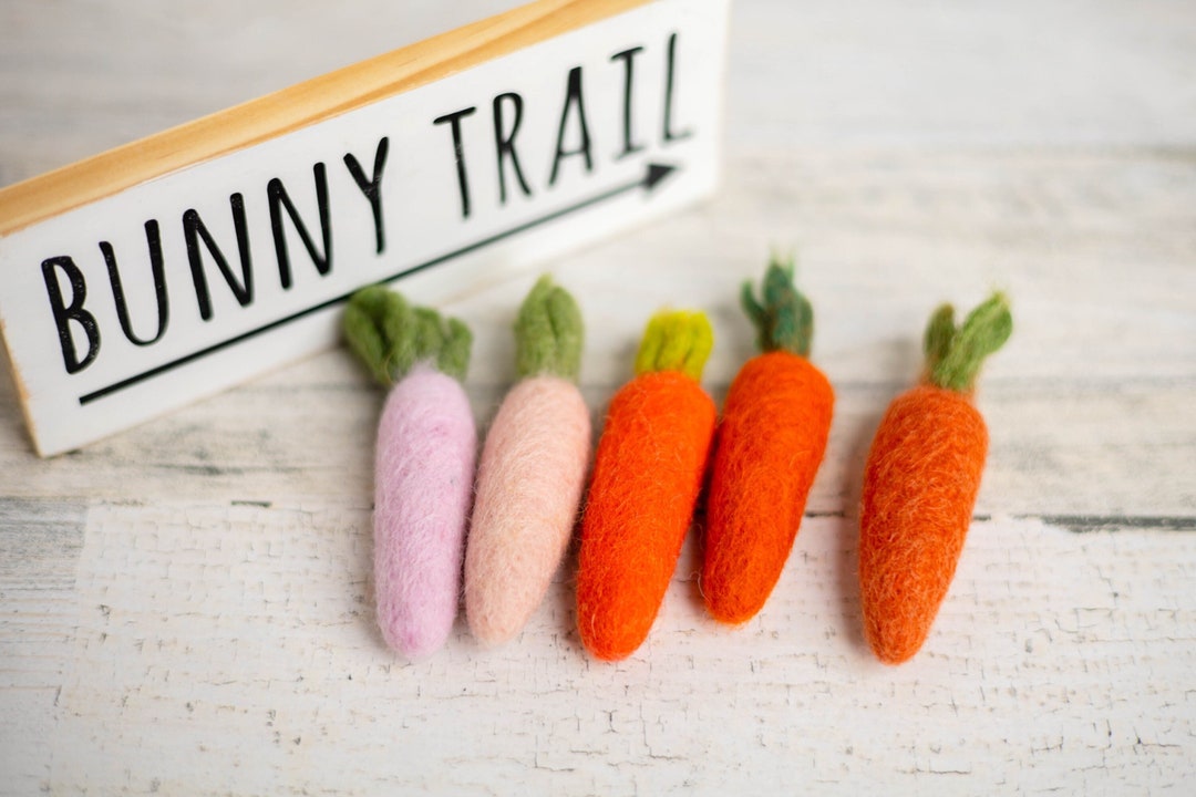 Hand-felted Wool Carrots: Heirloom Mix, Rustic Easter Decor - Etsy