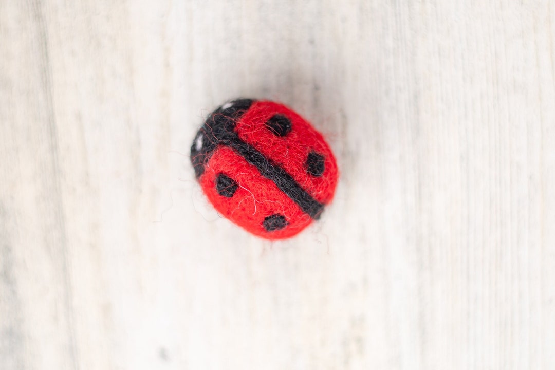 Felt Ladybug | Felt Shapes | Felt Bugs | Red Ladybug | Ladybug Toys ...