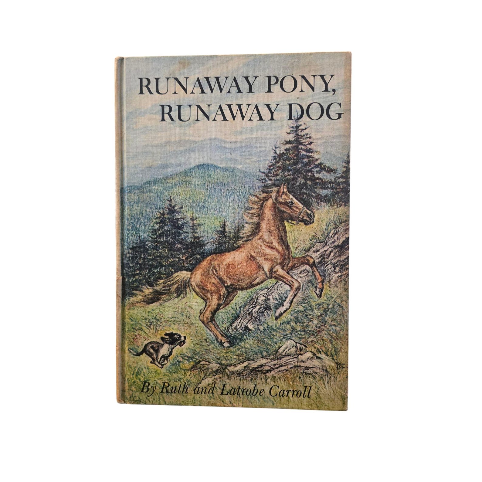 Runaway Pony Runaway Dog - Etsy