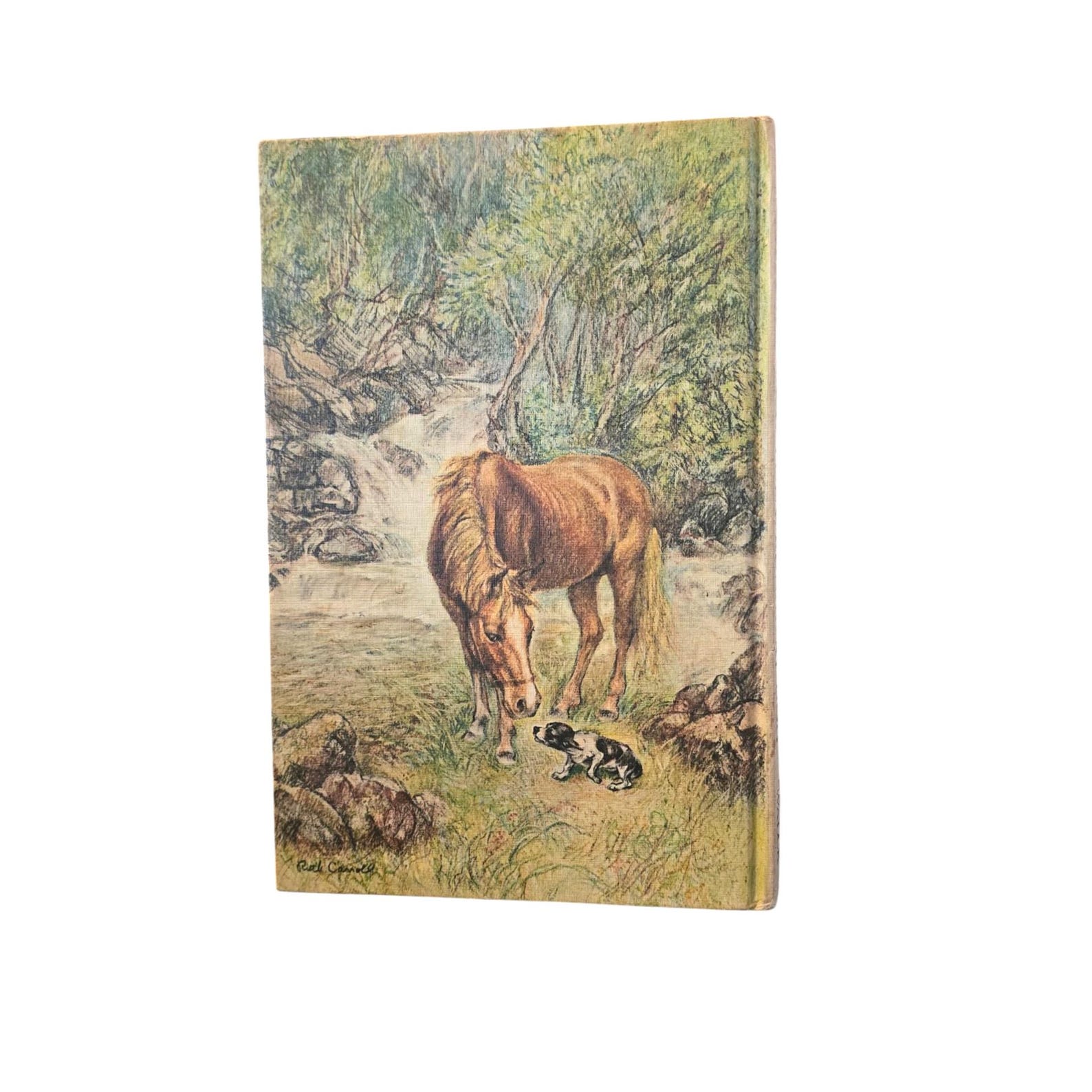 Runaway Pony Runaway Dog - Etsy