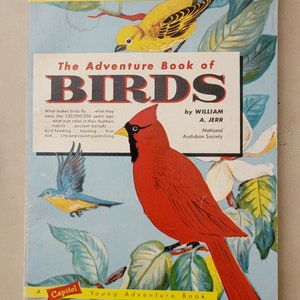 The Adventure Book of Birds - Etsy