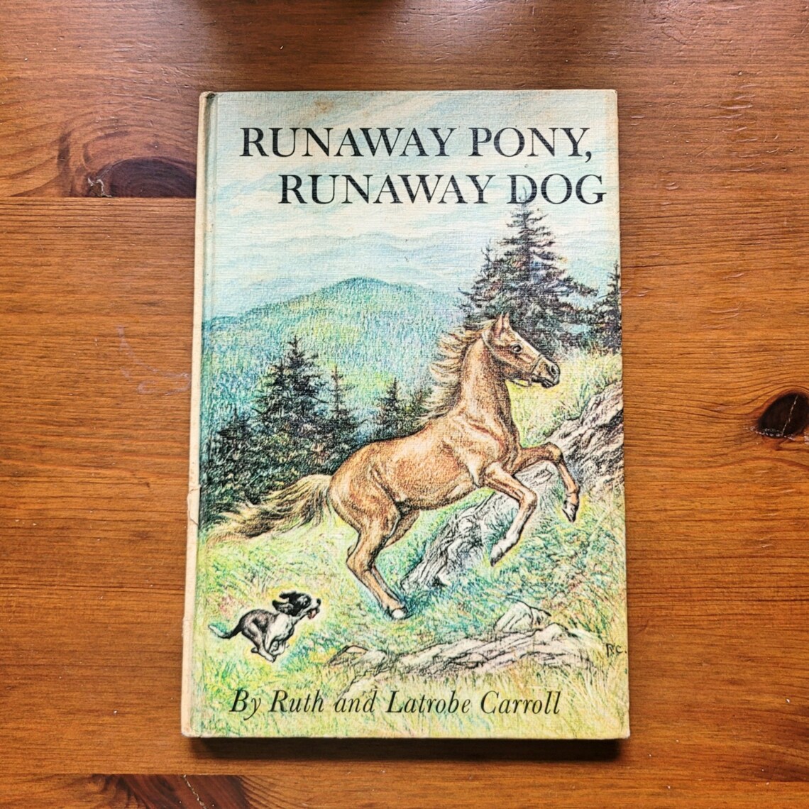 Runaway Pony Runaway Dog - Etsy