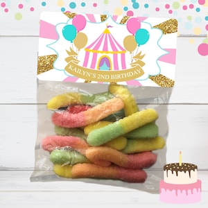 Carnival Birthday Favors, Circus Birthday Favors, Carnival Birthday ...