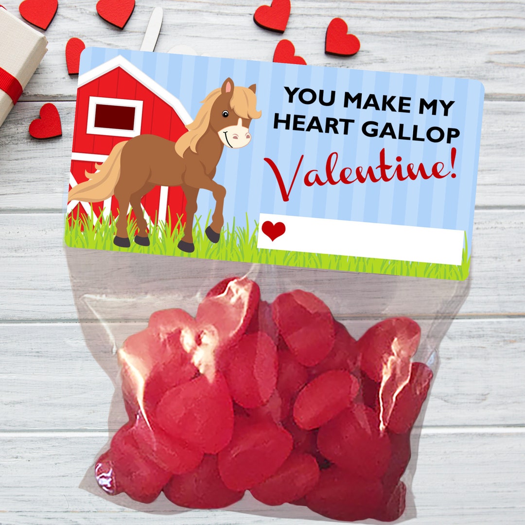 Horse Valentine Treat Bags, Horse Valentines, Pony Valentine Treat Bags ...