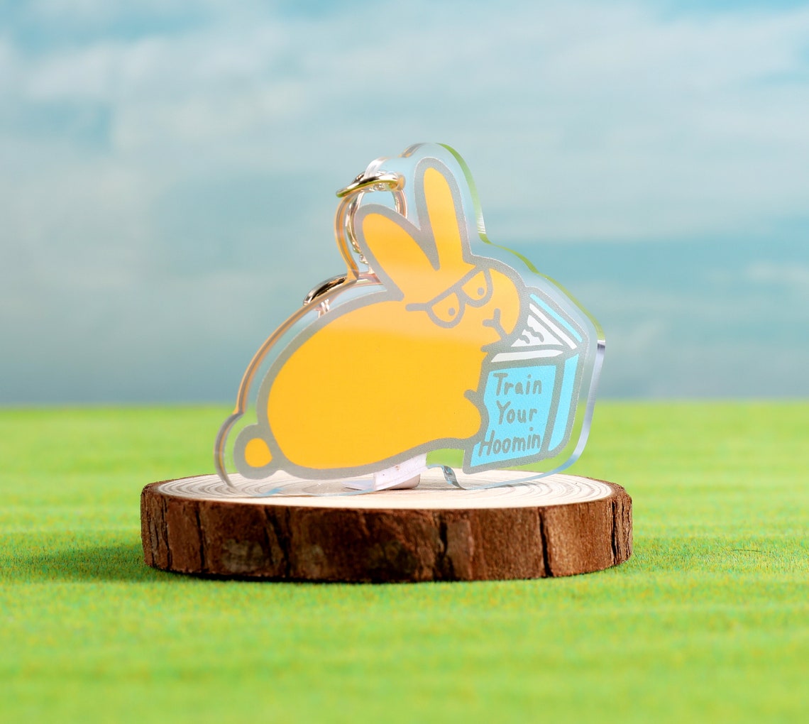 Book Bunny Acrylic Keychain 2.5" - Etsy