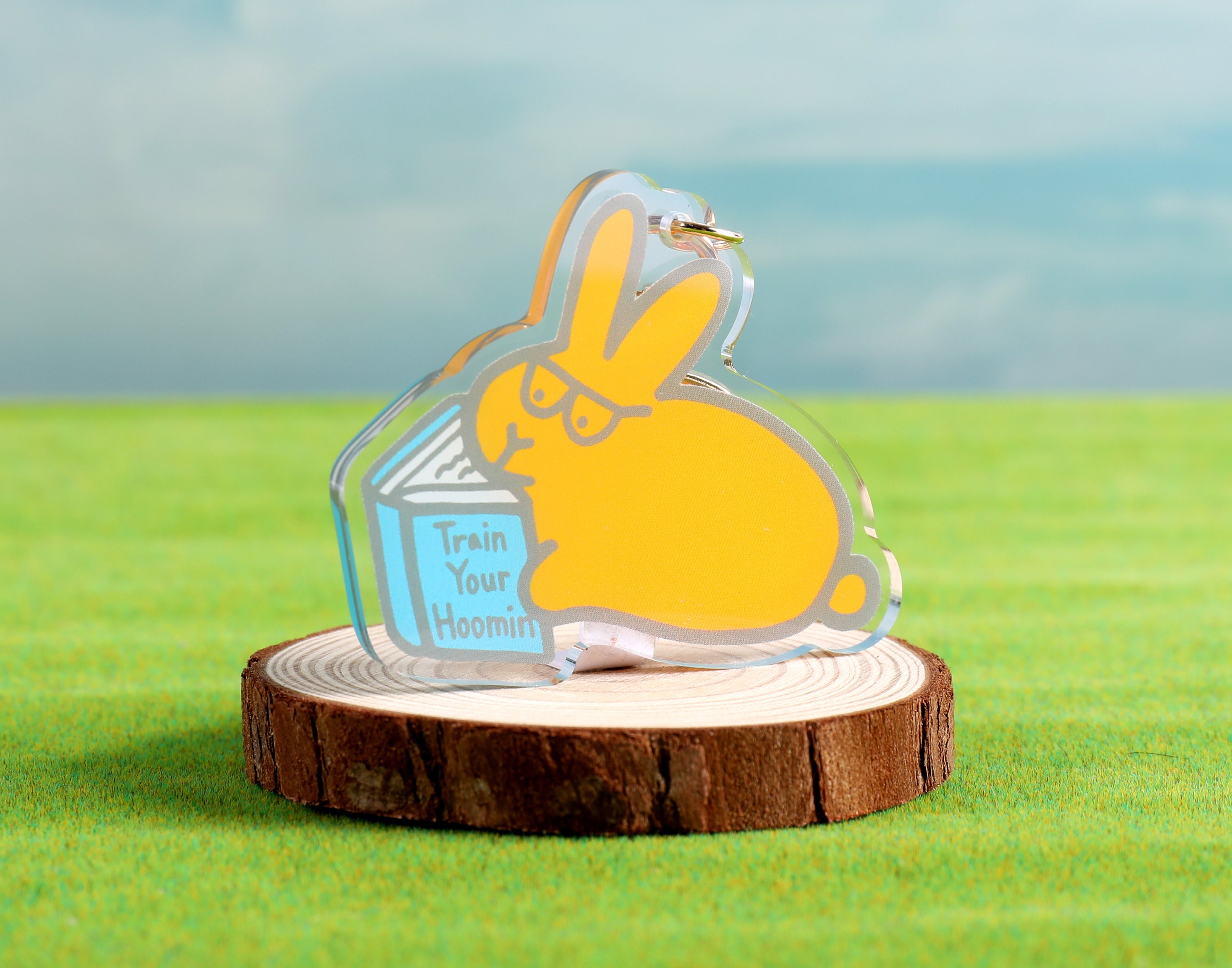 Book Bunny Acrylic Keychain 2.5" - Etsy