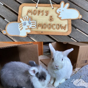 Personalized Two Bunny Name Sign 10" X 4.5", Cute Custom Rabbit Wood ...