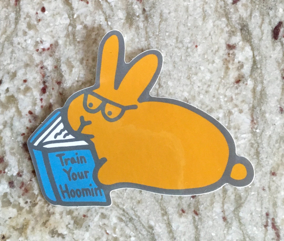 Funny Bunny Waterproof Sticker: Rabbit Reading Book - Etsy