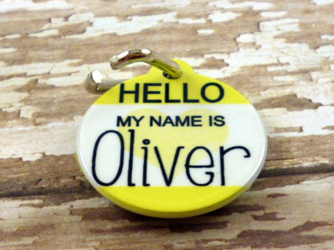 Personalized Pet Name ID Tag Dogs Cats | Hello My Name is Collar Tag ...