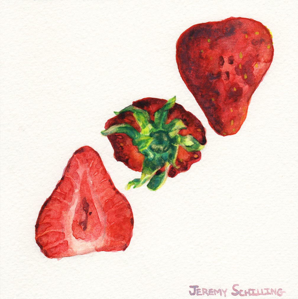 Strawberry Print Cut Strawberries Fine Art Watercolor Painting Jeremy ...