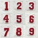 Red Embroidered Iron on Letters or Numbers Applique Patch,iron on Name ...